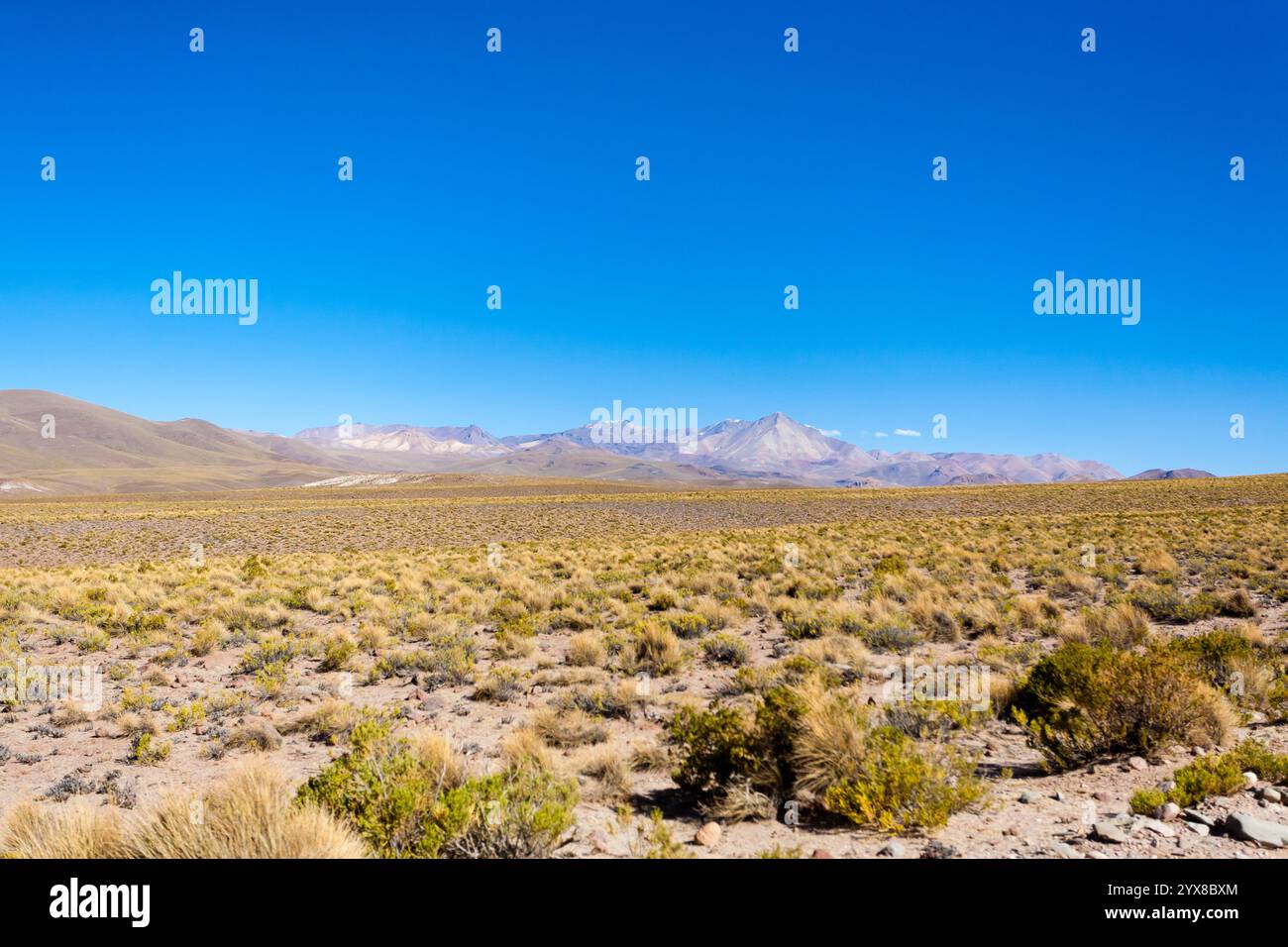 Bolivian mountains landscape,Bolivia.Andean plateau view Stock Photo ...