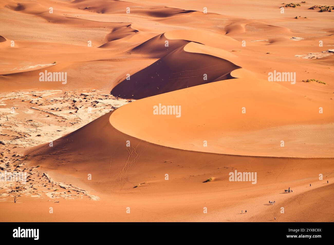 An abstract image of light and shadows being created by dunes in the ...