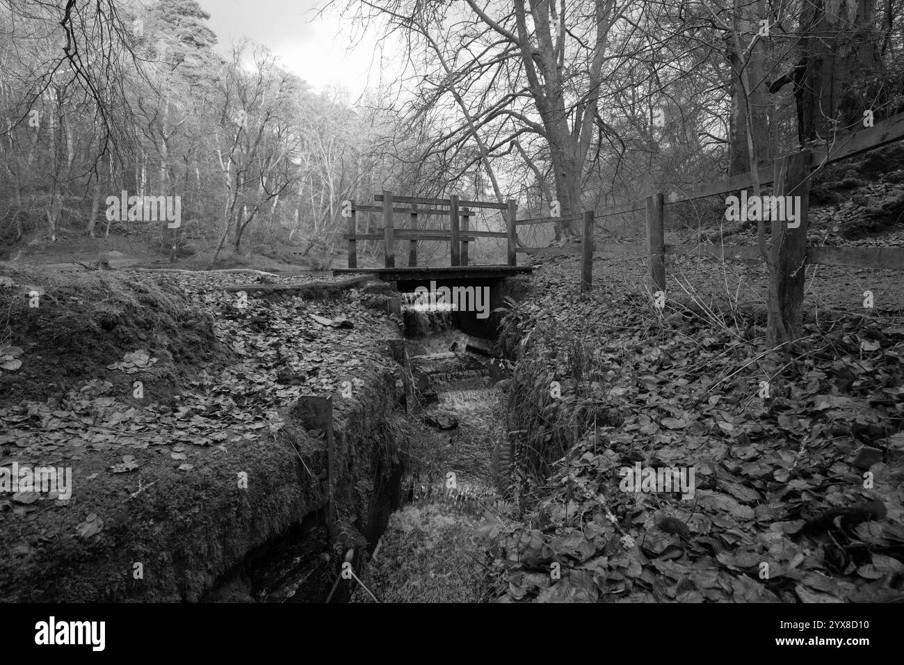 Water @ Waggoners Wells Stock Photo - Alamy