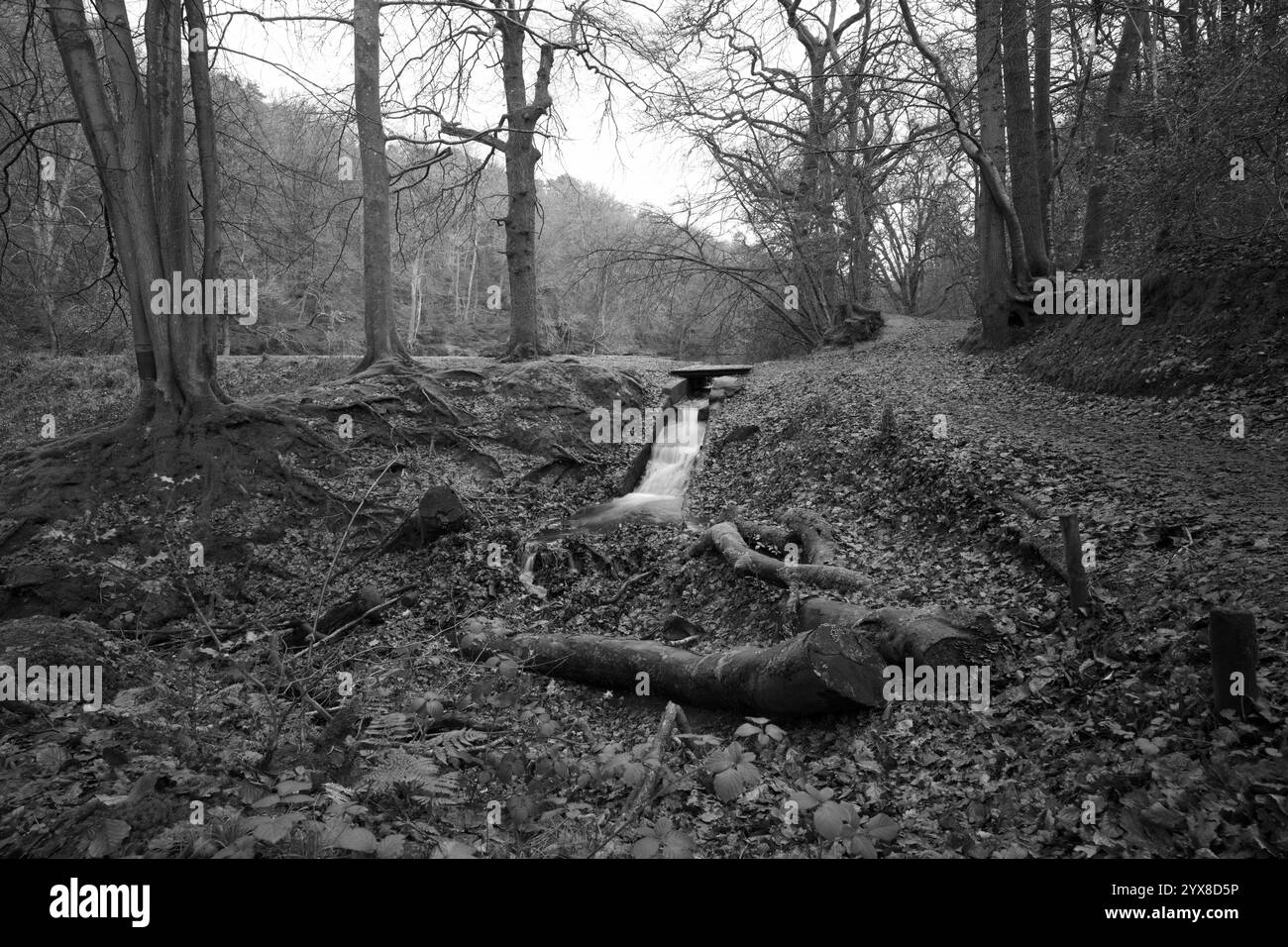 Water @ Waggoners Wells Stock Photo - Alamy