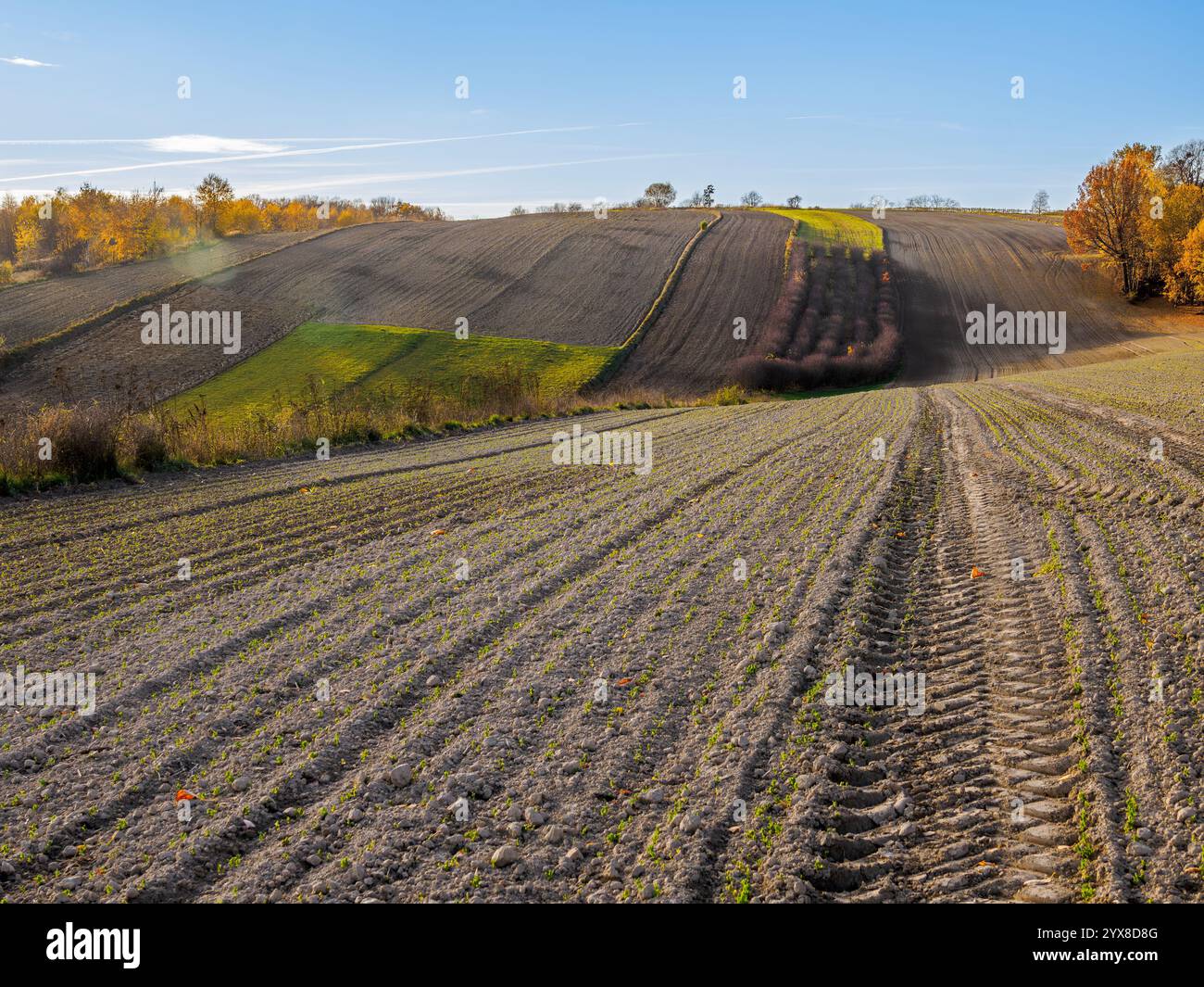 The painting depicts an autumn agricultural landscape with ...