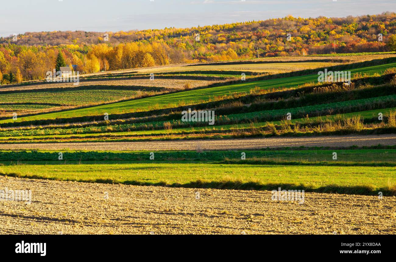 The painting depicts an autumn agricultural landscape with ...