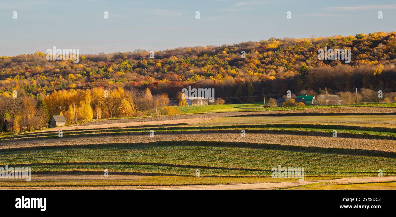The painting depicts an autumn agricultural landscape with ...