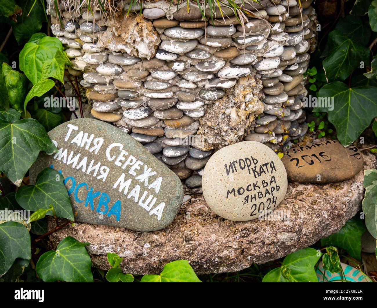 Pebble plant name hi-res stock photography and images - Alamy