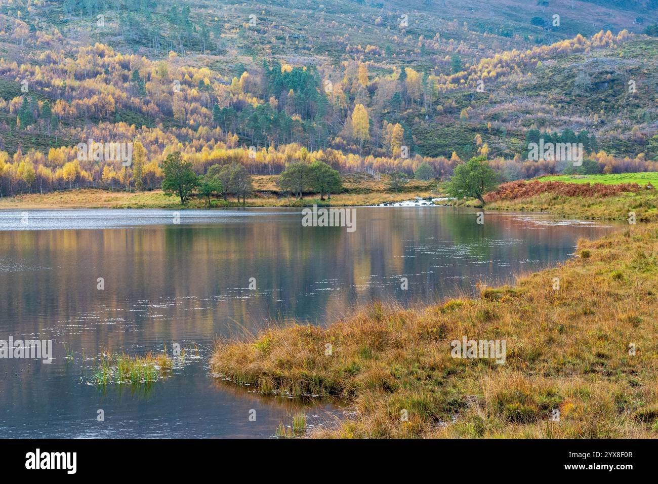 River beauly fishing hi-res stock photography and images - Alamy
