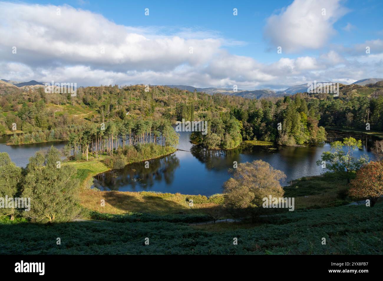 Beautiful scenery around Tarn Hows north of Coniston in the Lake ...