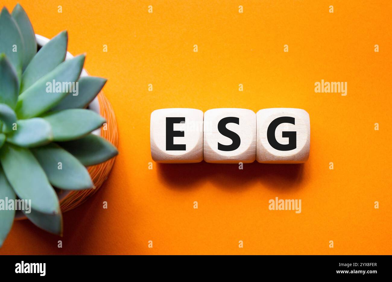 GSG - Environmental, Social and Governance symbol. Concept word GSG on ...