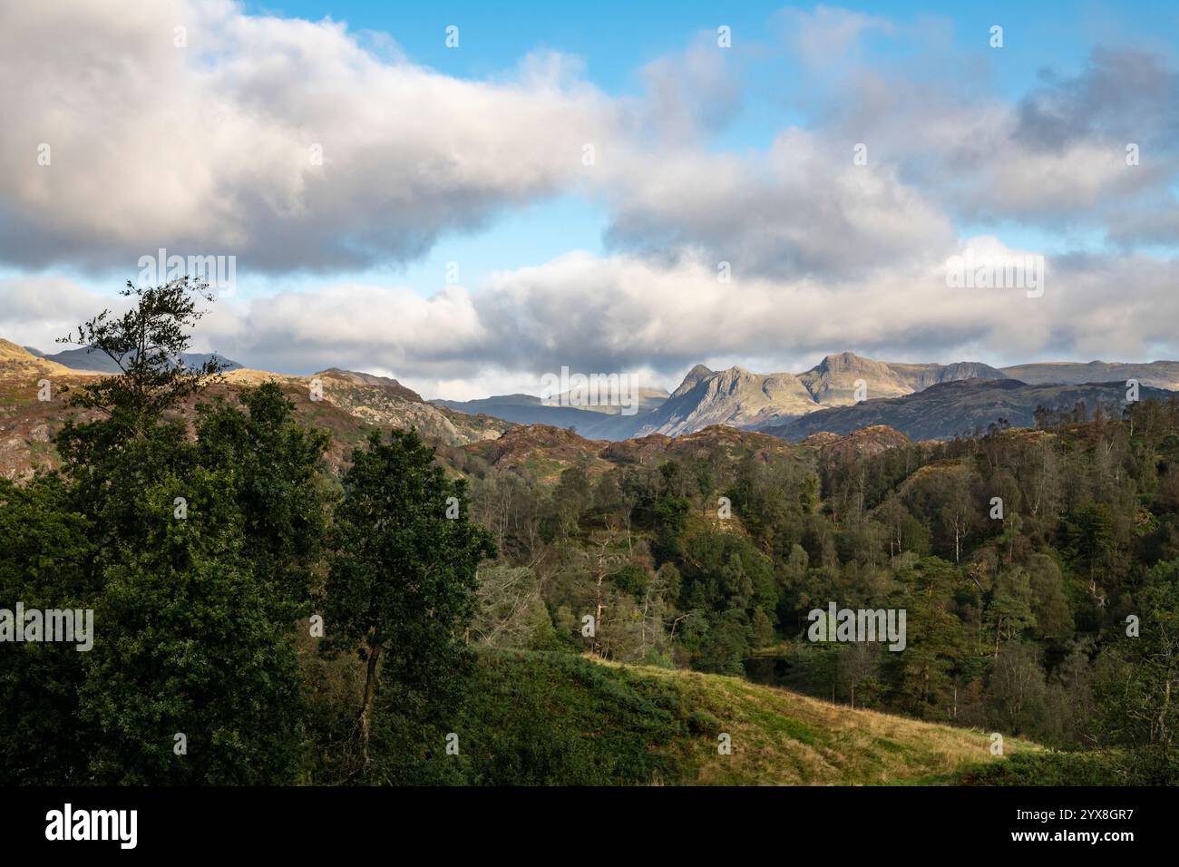 Beautiful scenery around Tarn Hows north of Coniston in the Lake ...