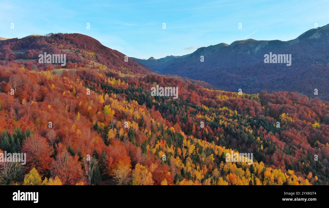 Aerial view of autumn forest in mountain Stock Photo - Alamy