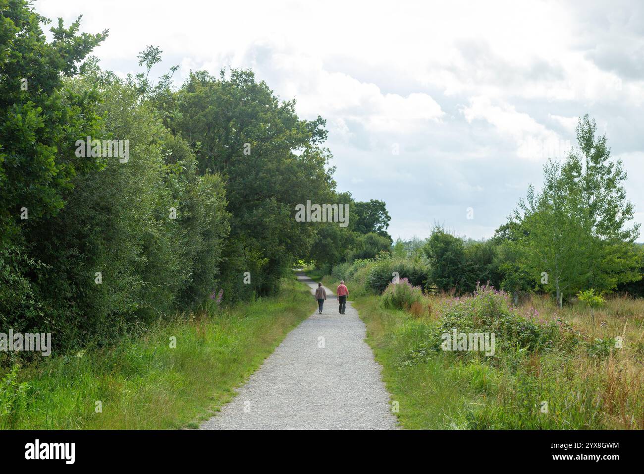 Duncliffe woodland walk hi-res stock photography and images - Alamy
