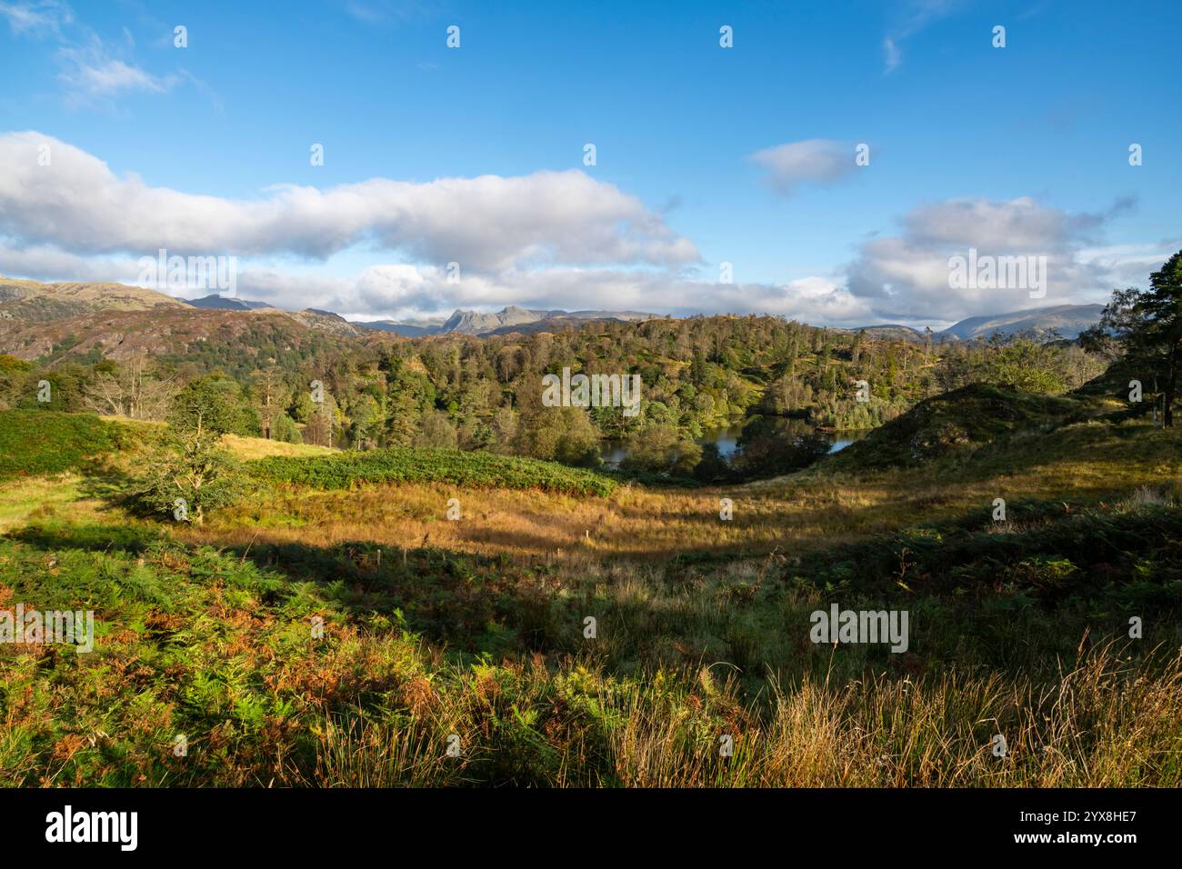 Beautiful scenery around Tarn Hows north of Coniston in the Lake ...
