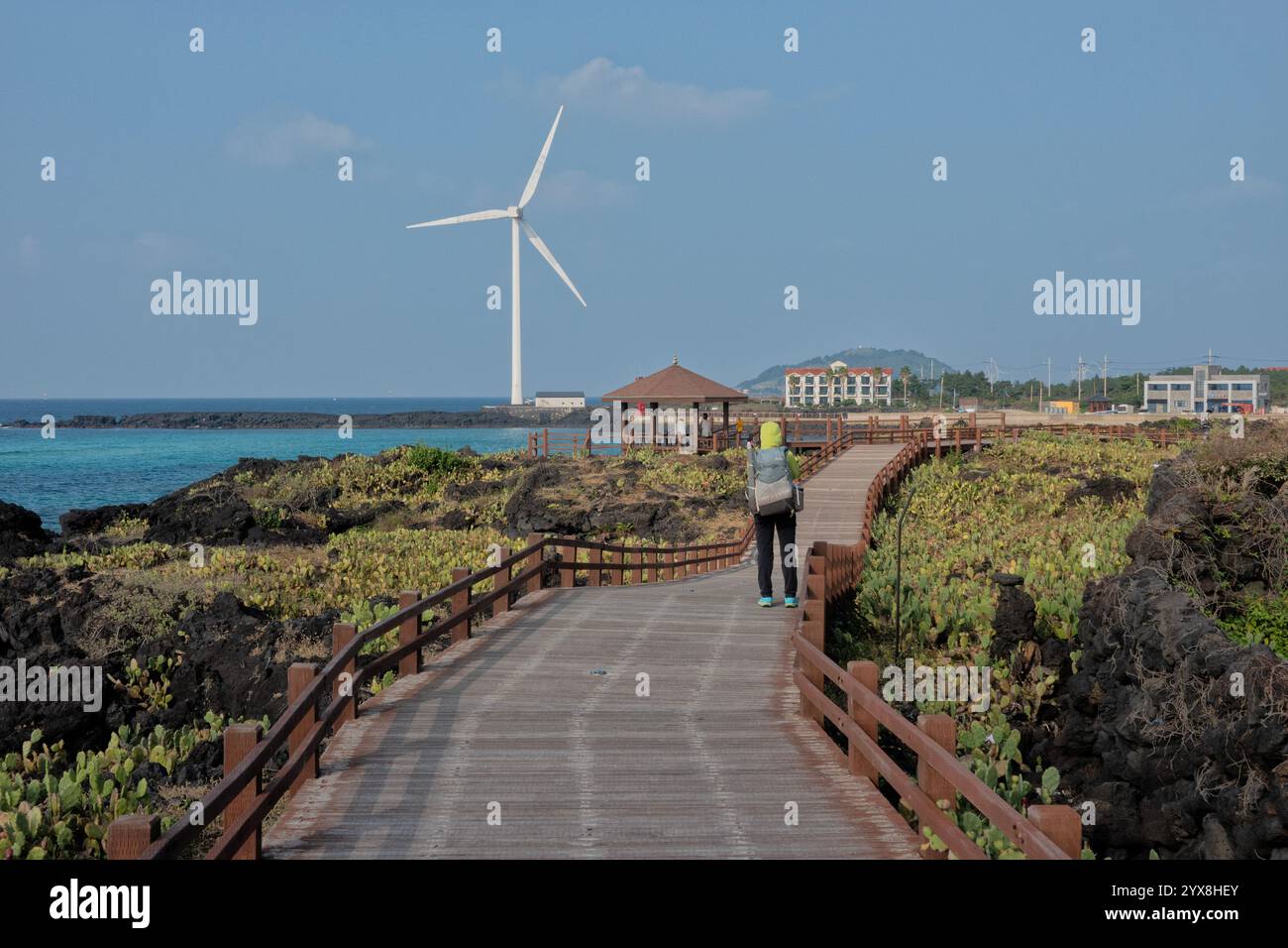 Walking through the Wollyeong cactus reserve, Jeju Olle Trail ...