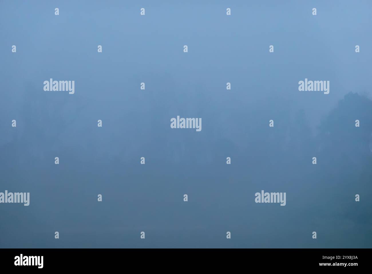 Soft blue river landscape impressionist background in the Pantanal ...