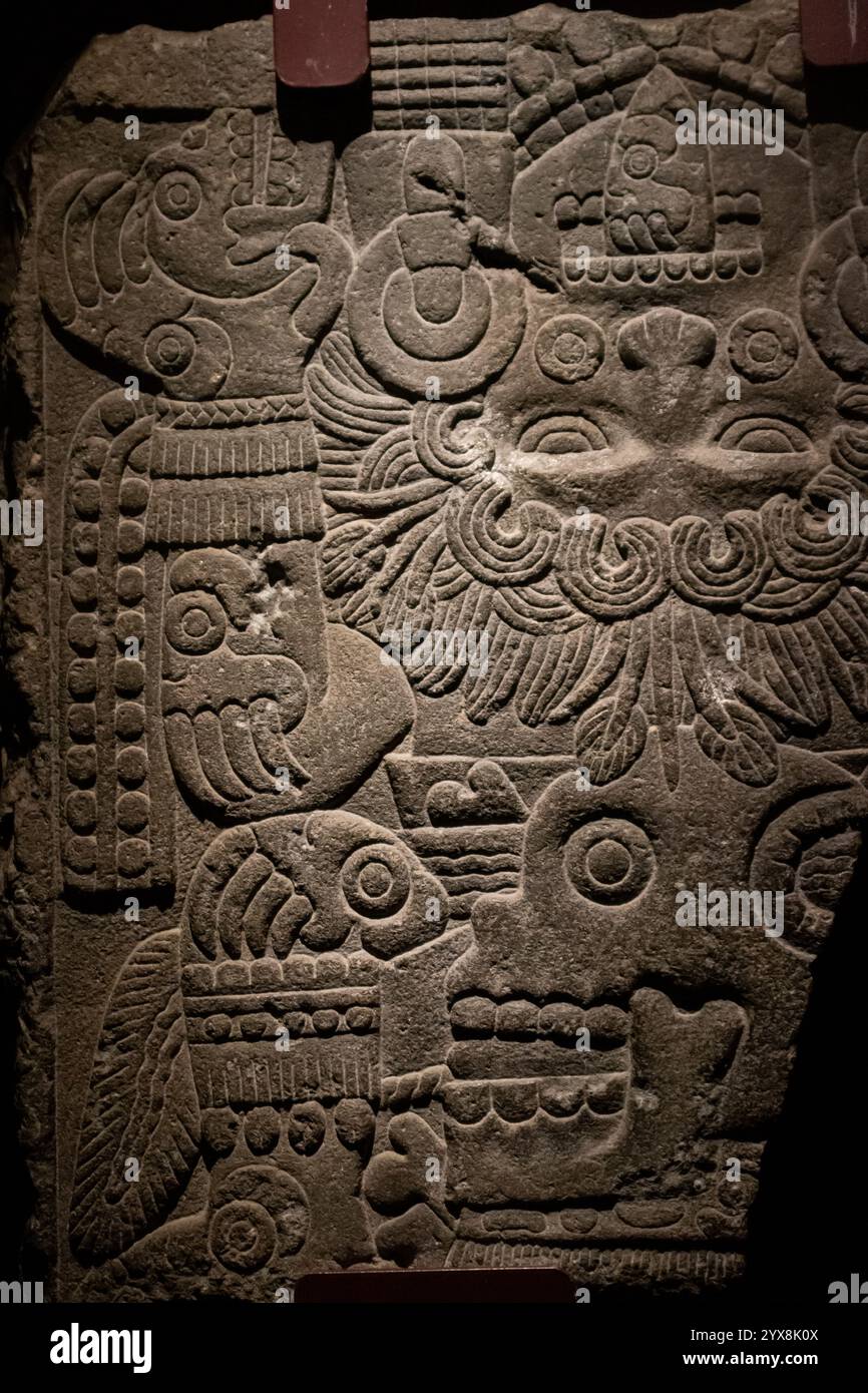 Mexico City, Mexico November 12, 2024: Relief of Tlaltecuhtli, earth ...