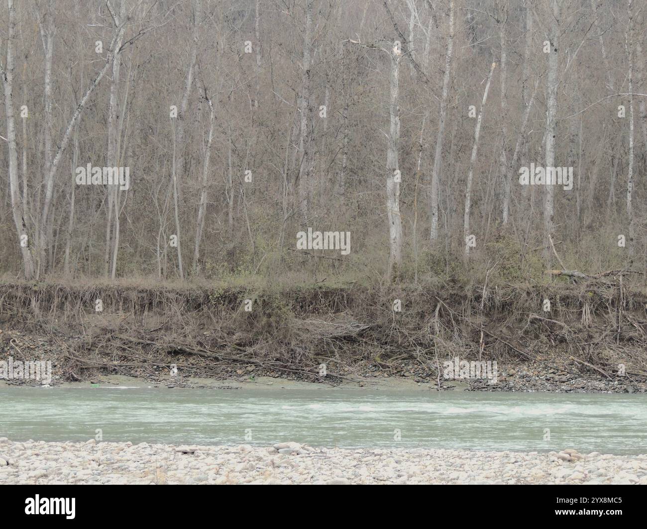 Narrow forest river overgrown banks hi-res stock photography and images ...