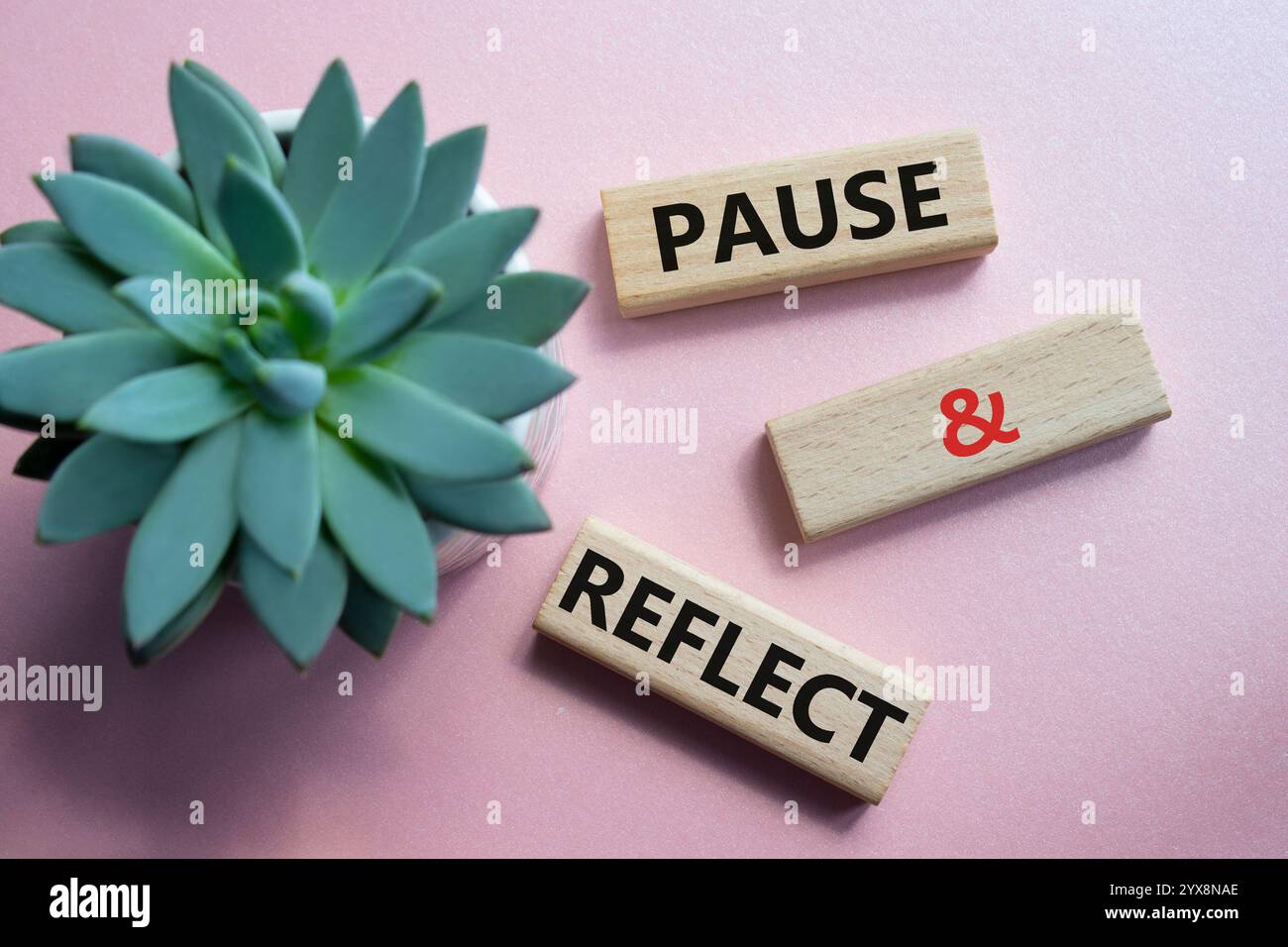 Pause and Reflect symbol. Concept words Pause and Reflect on wooden blocks. Beautiful pink ...