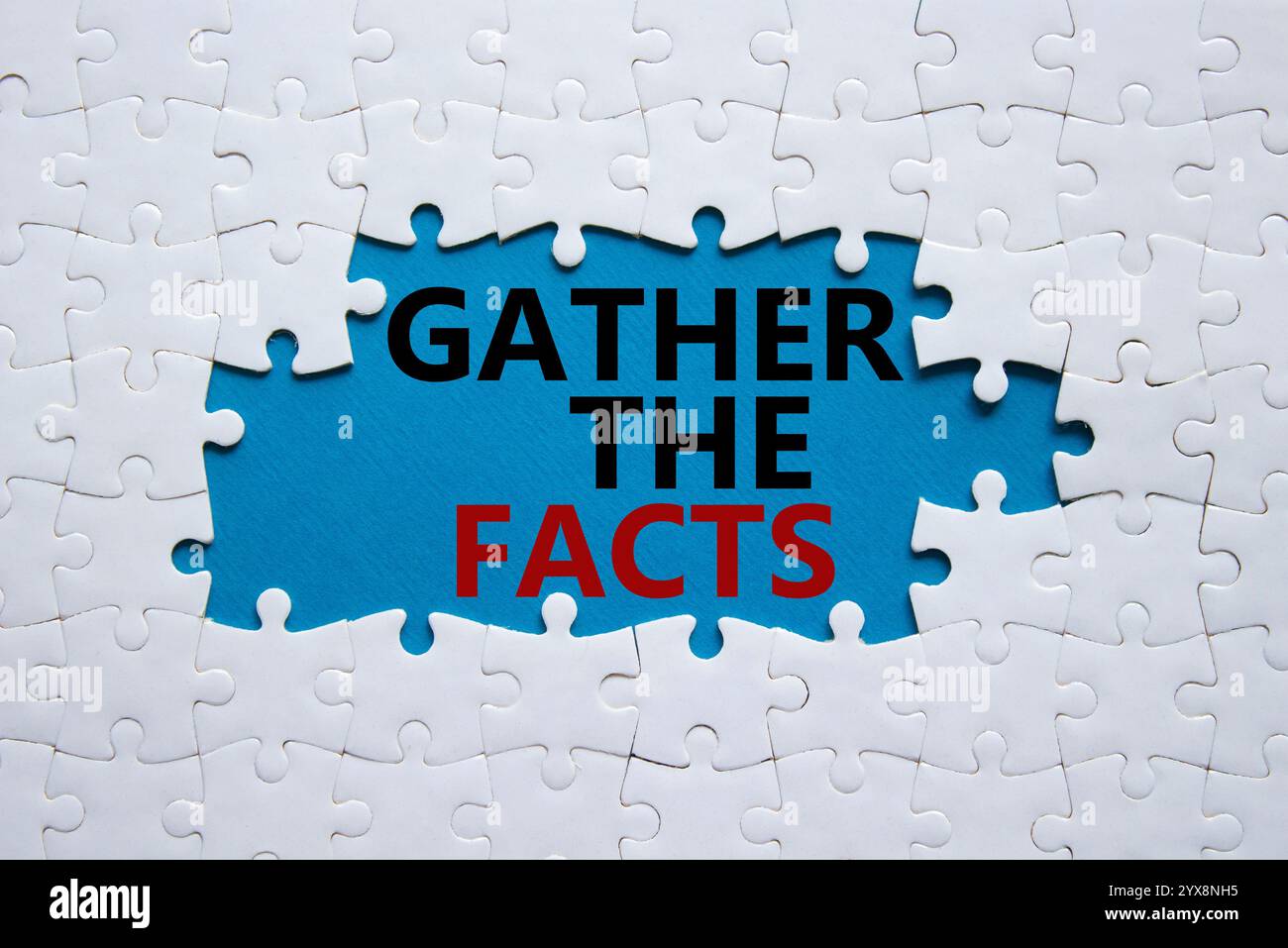 Gather the facts symbol. Concept words Gather the facts on white puzzle ...