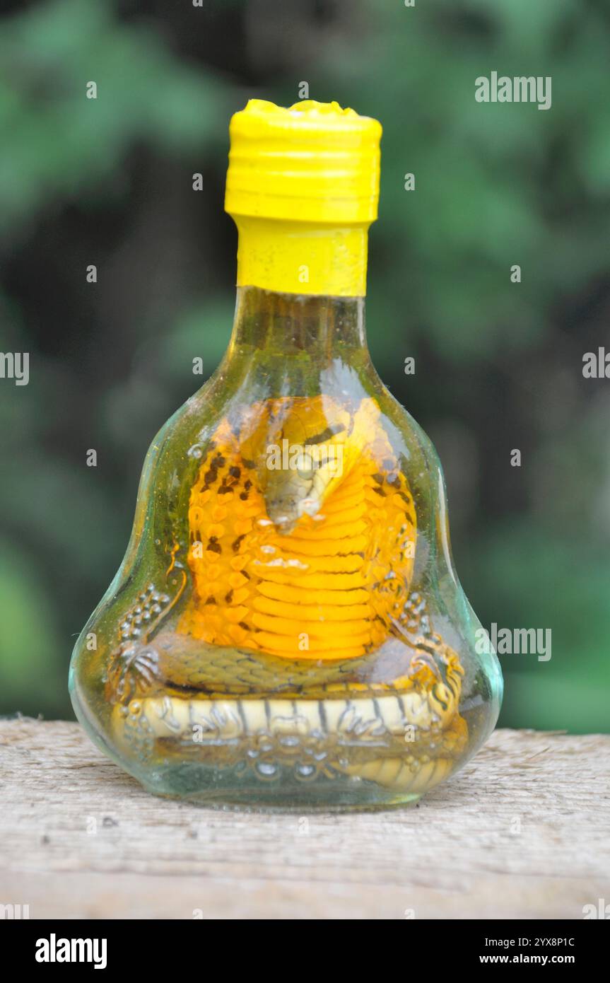 Snake in a bottle of alcohol Stock Photo - Alamy