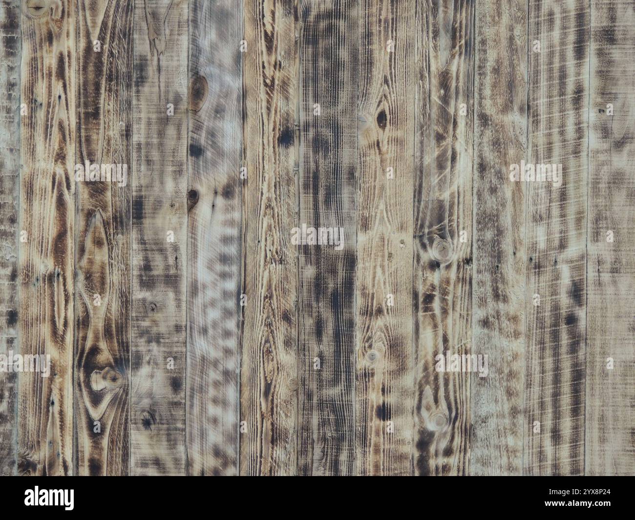 wood texture in full frame plank background, with beautiful natural ...