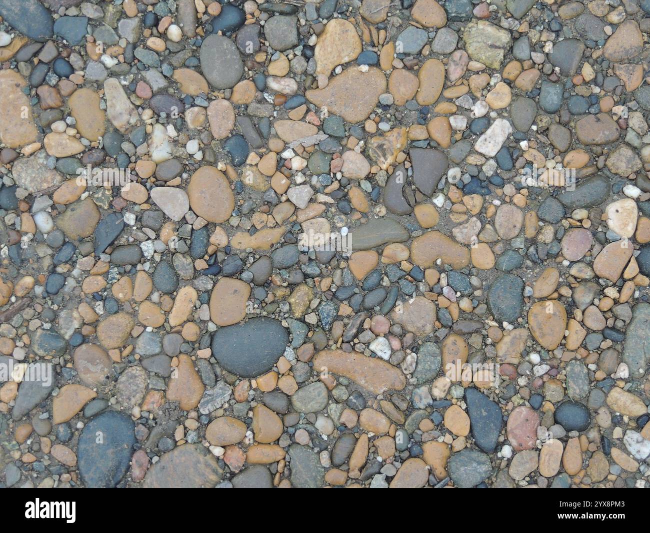 smooth surface of round river pebbles of different shades in random ...