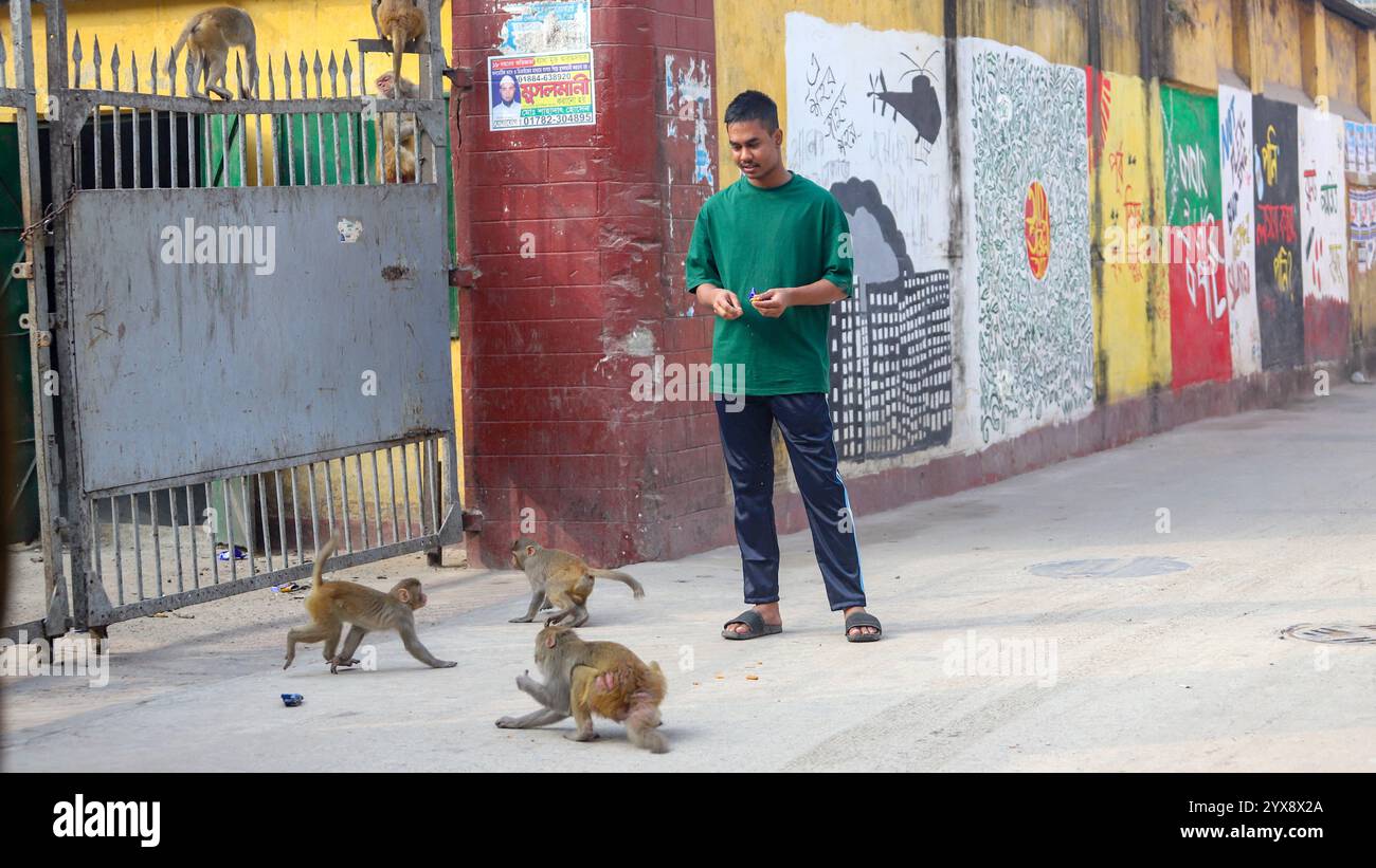 Monkey Day is an unofficial international holiday celebrated on ...