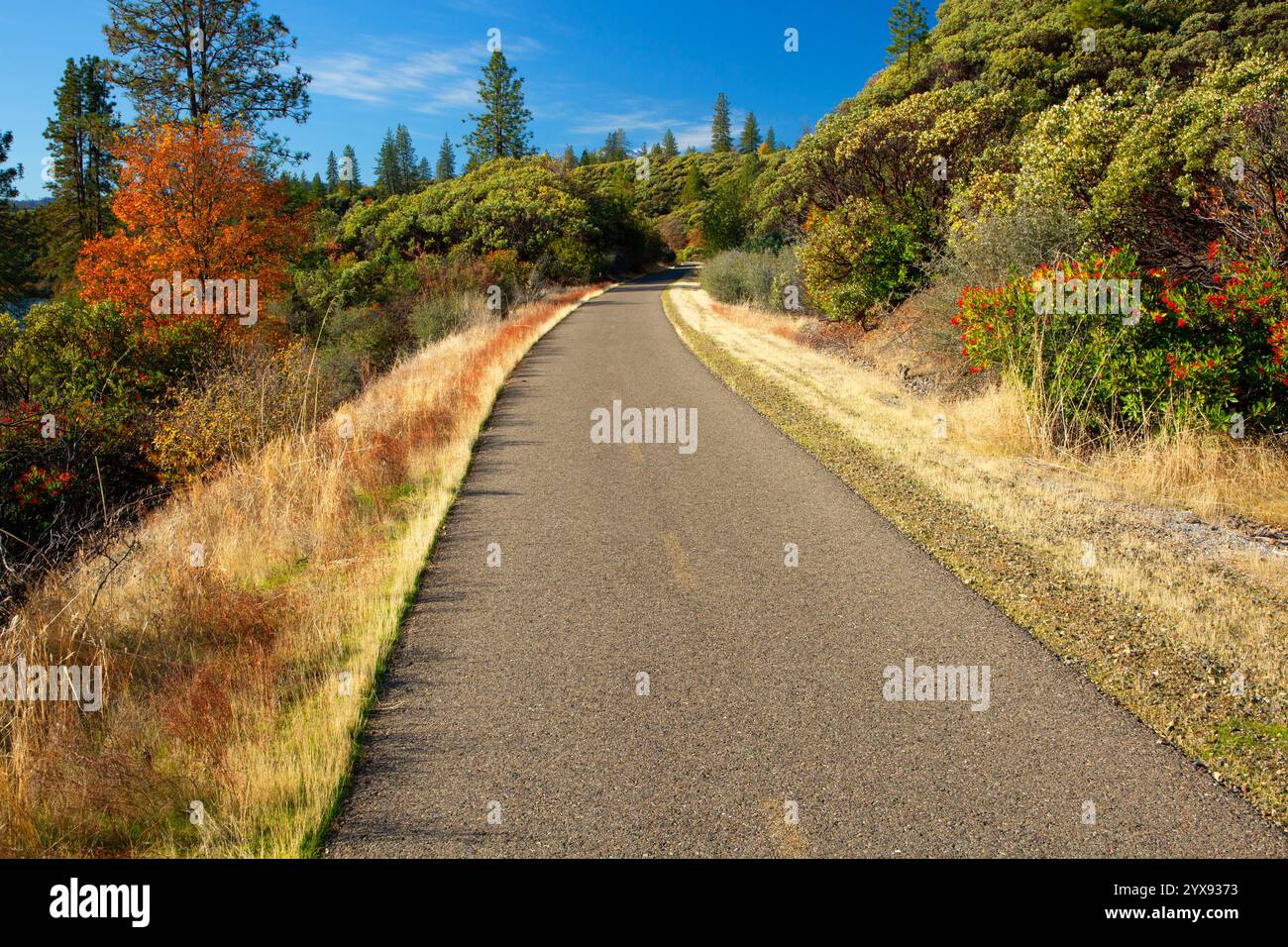 Sacramento River Rail Trail, Sacramento River National Recreation Trail ...