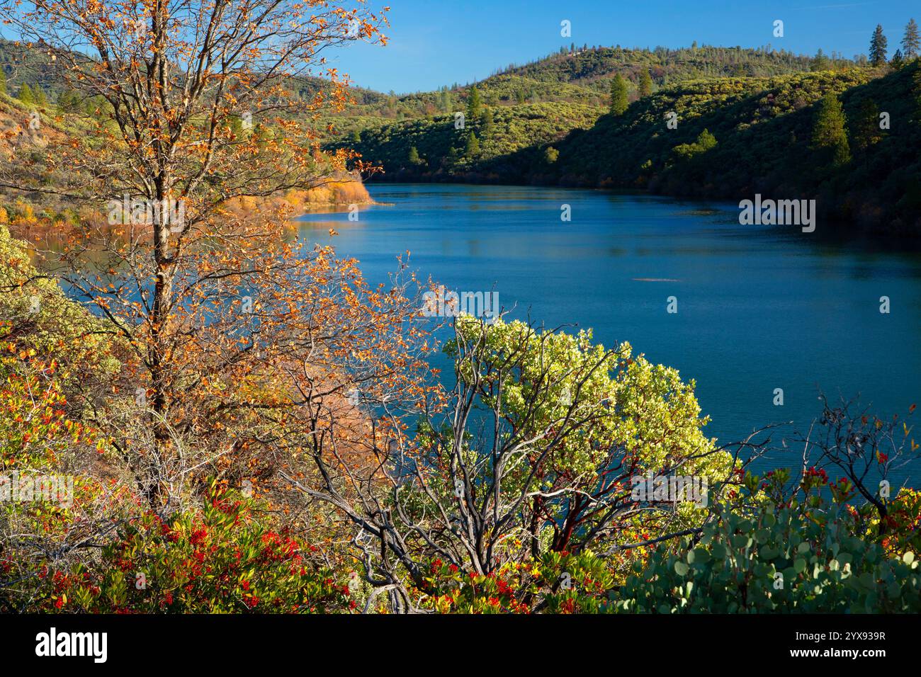 Keswick Reservoir from Sacramento River Rail Trail, Sacramento River ...