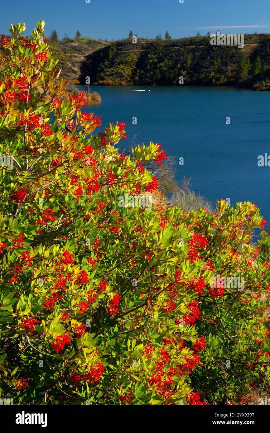 Keswick Reservoir from Sacramento River Rail Trail, Sacramento River ...