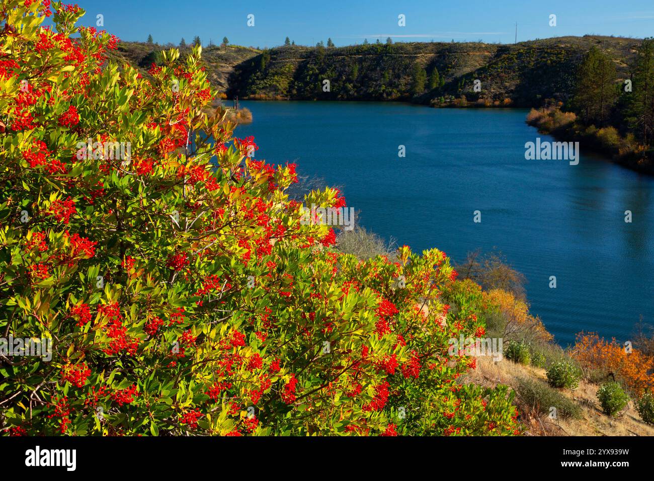 Keswick Reservoir from Sacramento River Rail Trail, Sacramento River ...