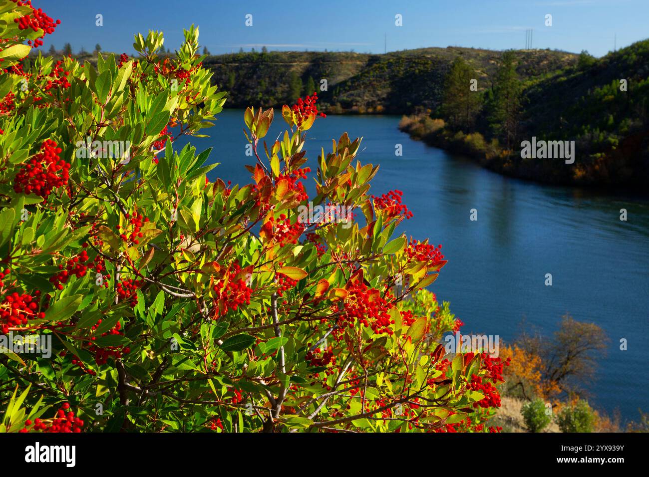 Keswick Reservoir from Sacramento River Rail Trail, Sacramento River ...