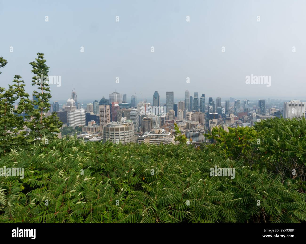 Montreal skyline with dense smog. Quebec,Canada Stock Photo - Alamy