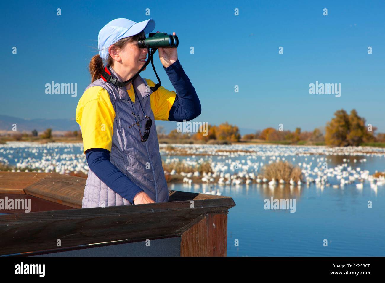 Birding from Observation Deck, Sacramento National Wildlife Refuge ...