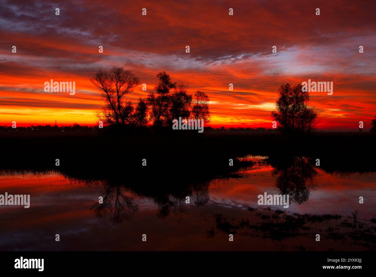 Sunrise, Colusa National Wildlife Refuge, California Stock Photo - Alamy