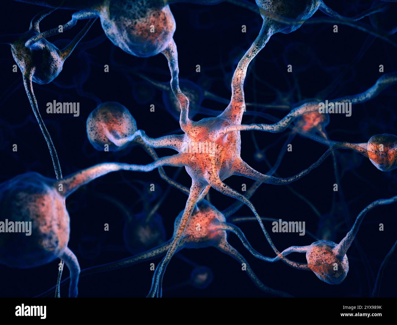 Network of neurons, Nervous system, Brain cells, scientific conceptual ...