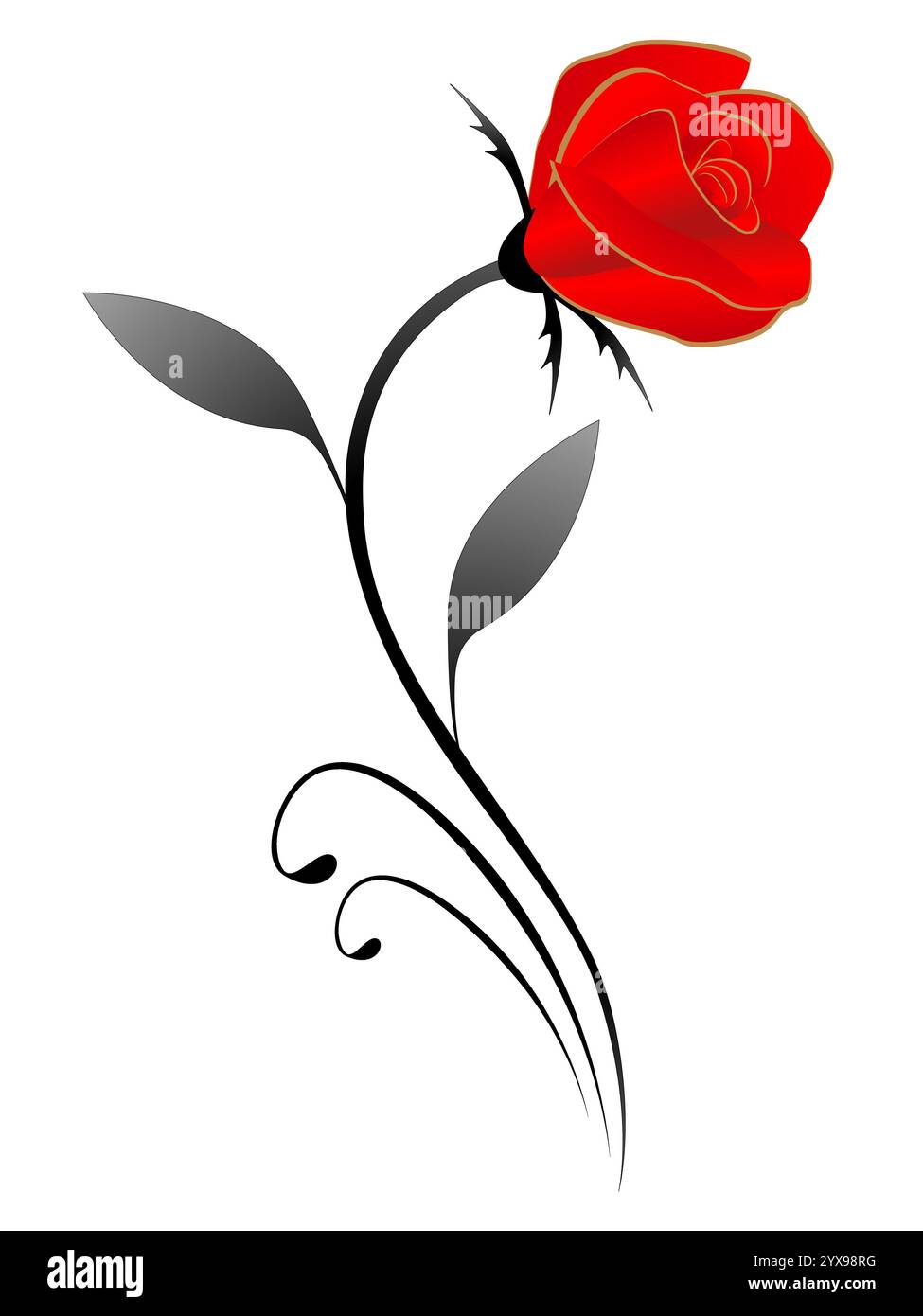 Red rose, design Stock Vector Image & Art - Alamy