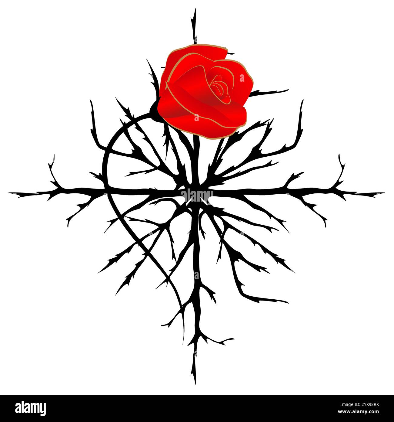 Isolated rose stem thorns Stock Vector Images - Alamy