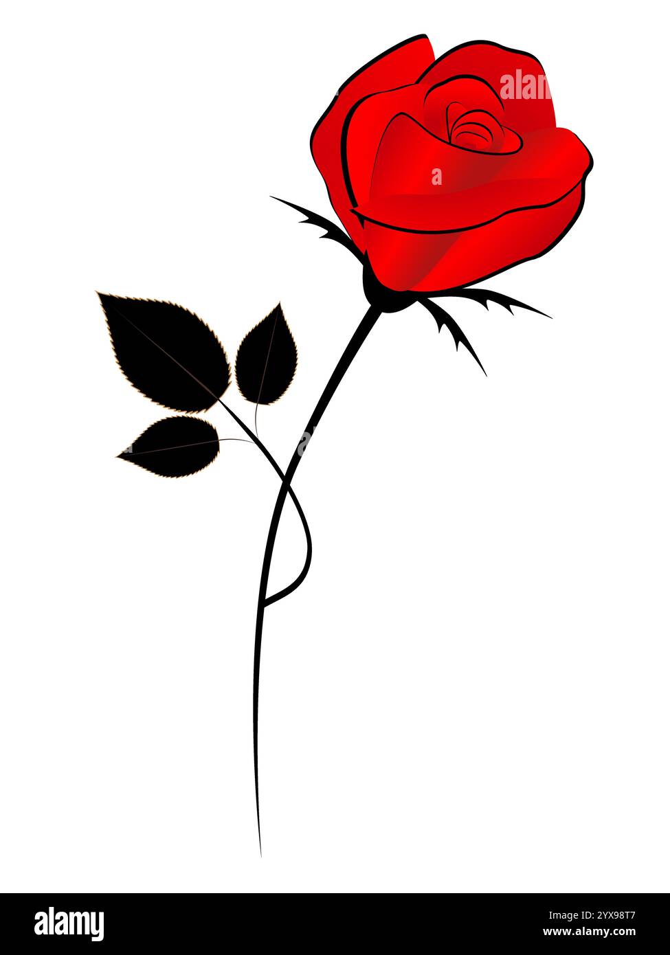 Modern rose Cut Out Stock Images & Pictures - Alamy