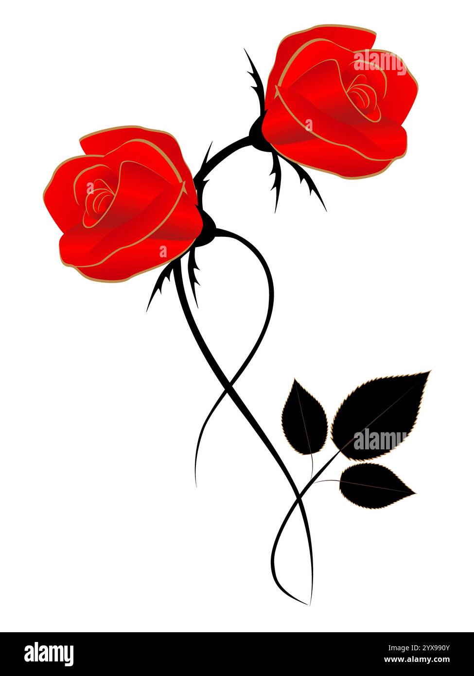 Two roses stem Stock Vector Images - Alamy