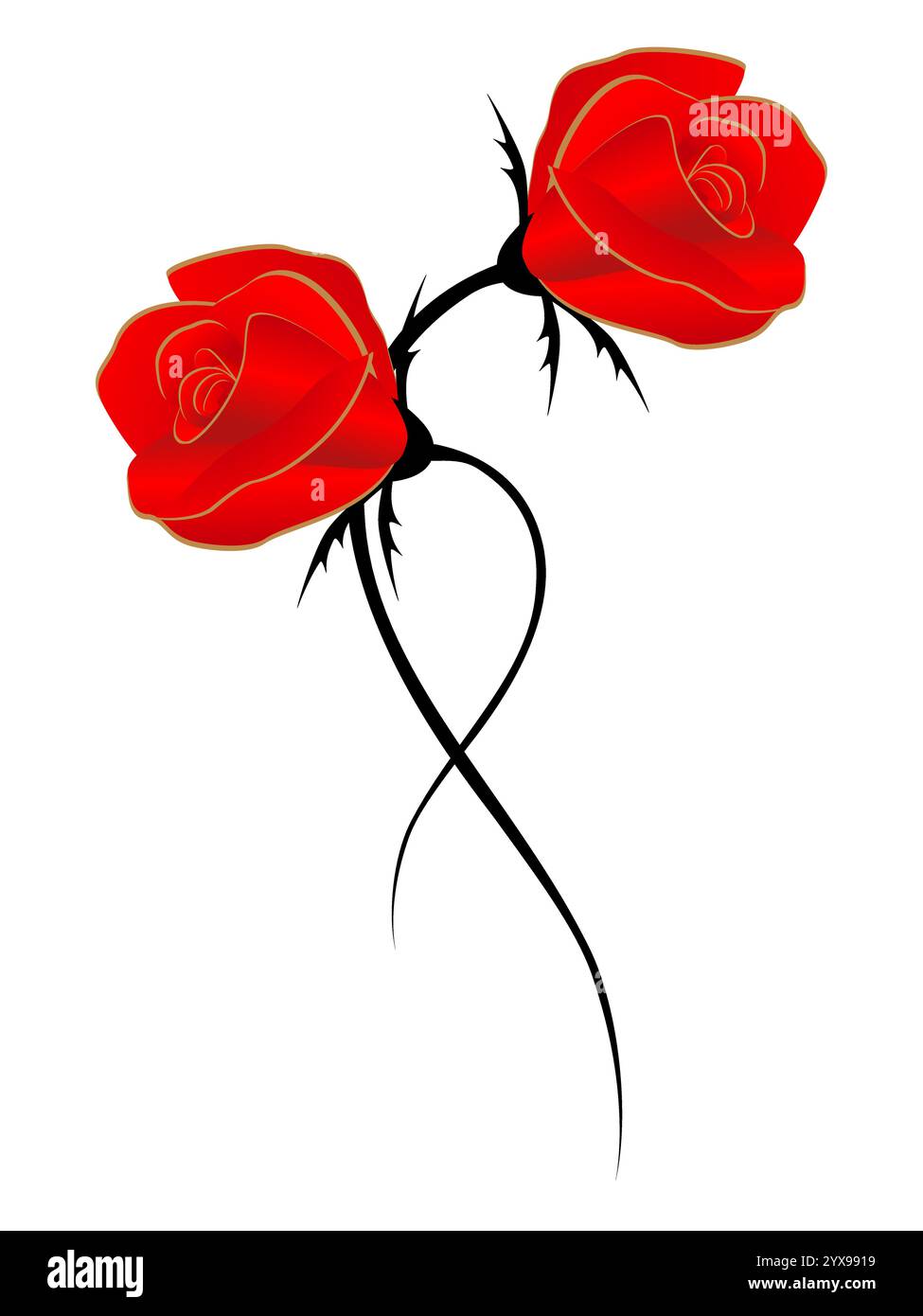 Two roses stem Stock Vector Images - Alamy