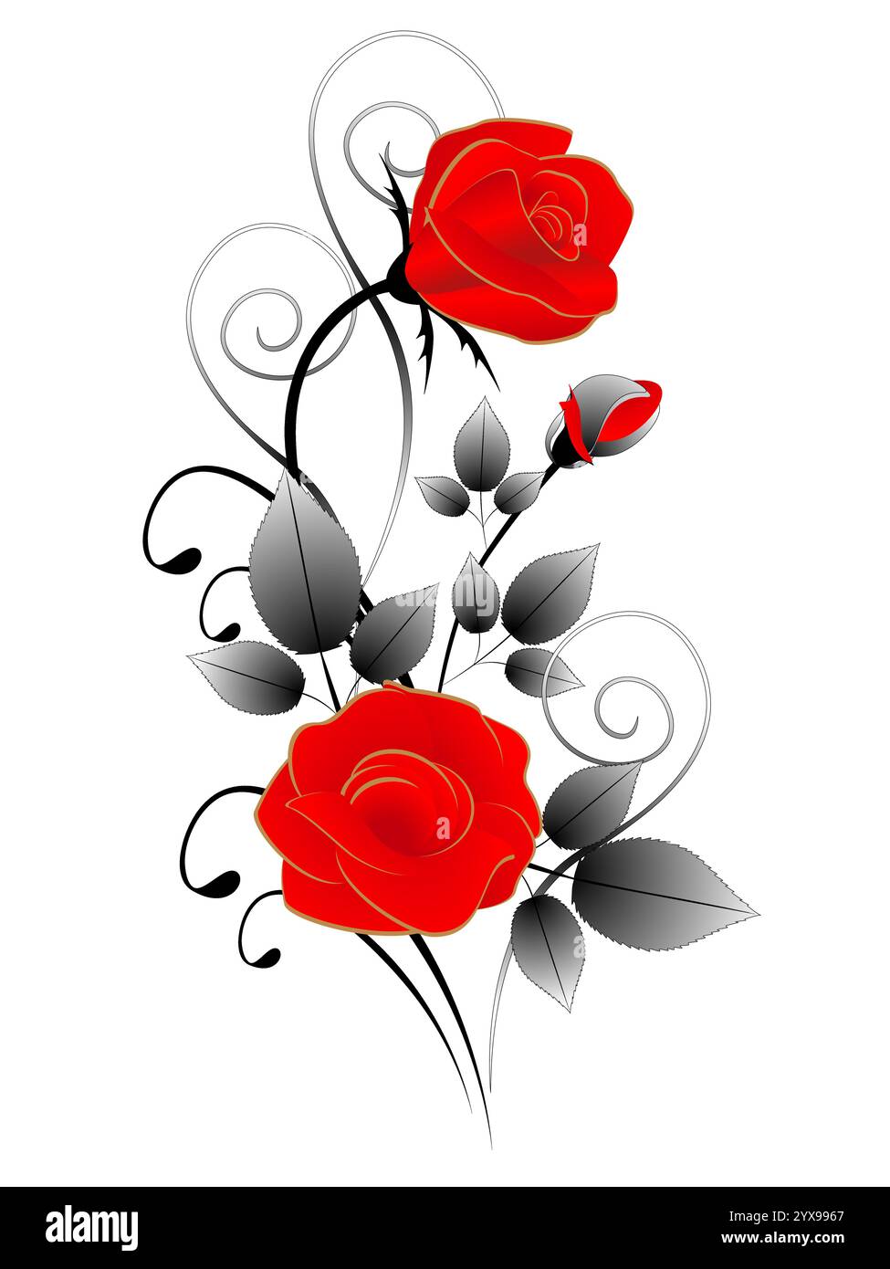 Composition of red roses, illustration, isolated on white background ...
