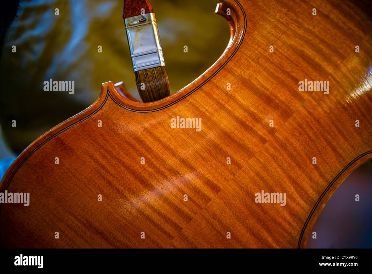 Luthier is applying varnish on the wooden surface of a violin using a ...