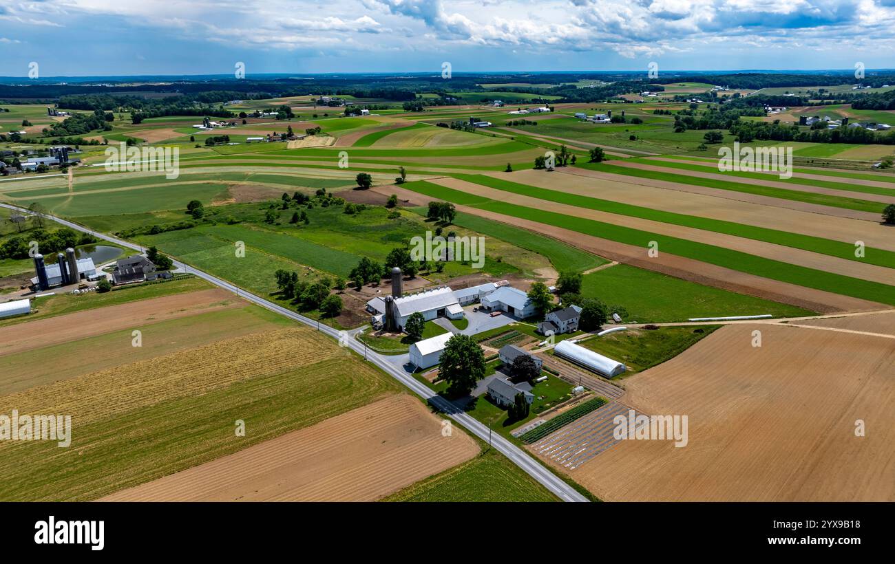A wide view of expansive farmland showcases vibrant green and golden ...