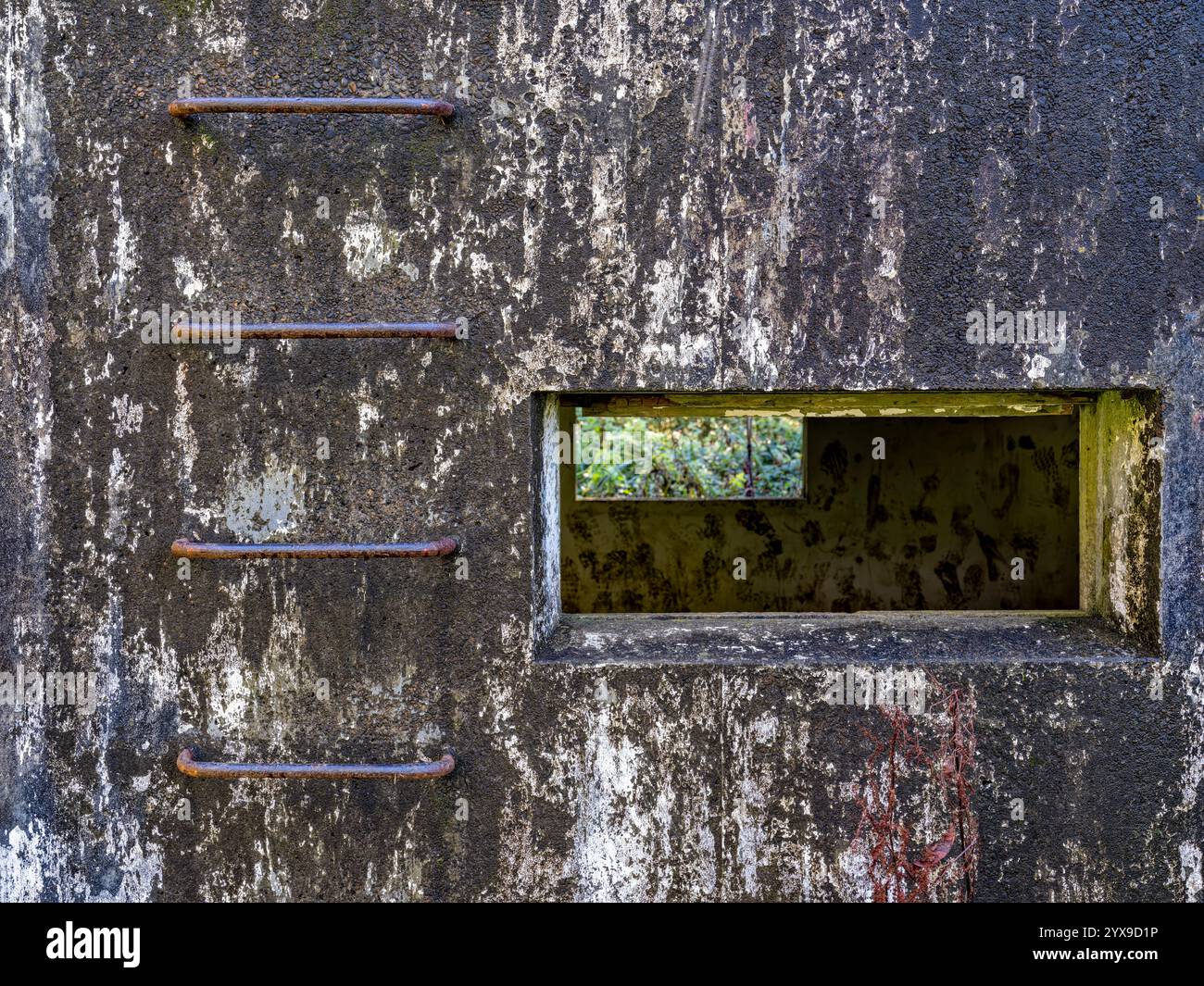 A window in the side of a decommissioned concrete bunker at Cape ...