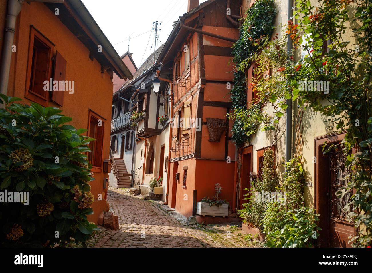 Picturesque town street with colorful, blooming facades, France Stock ...