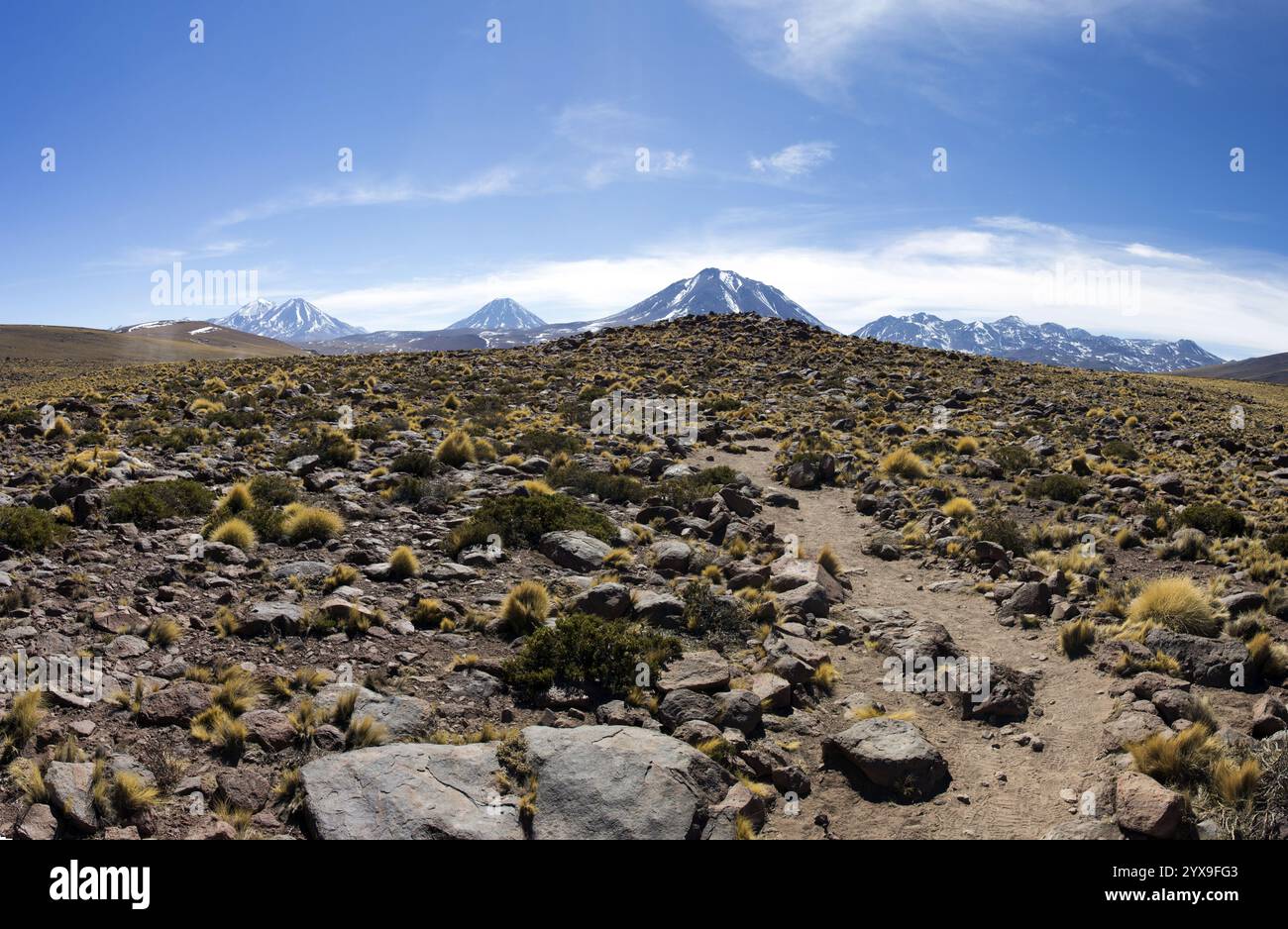 Photo of Andean landscape in Miscanti national park, Chile Stock Photo ...