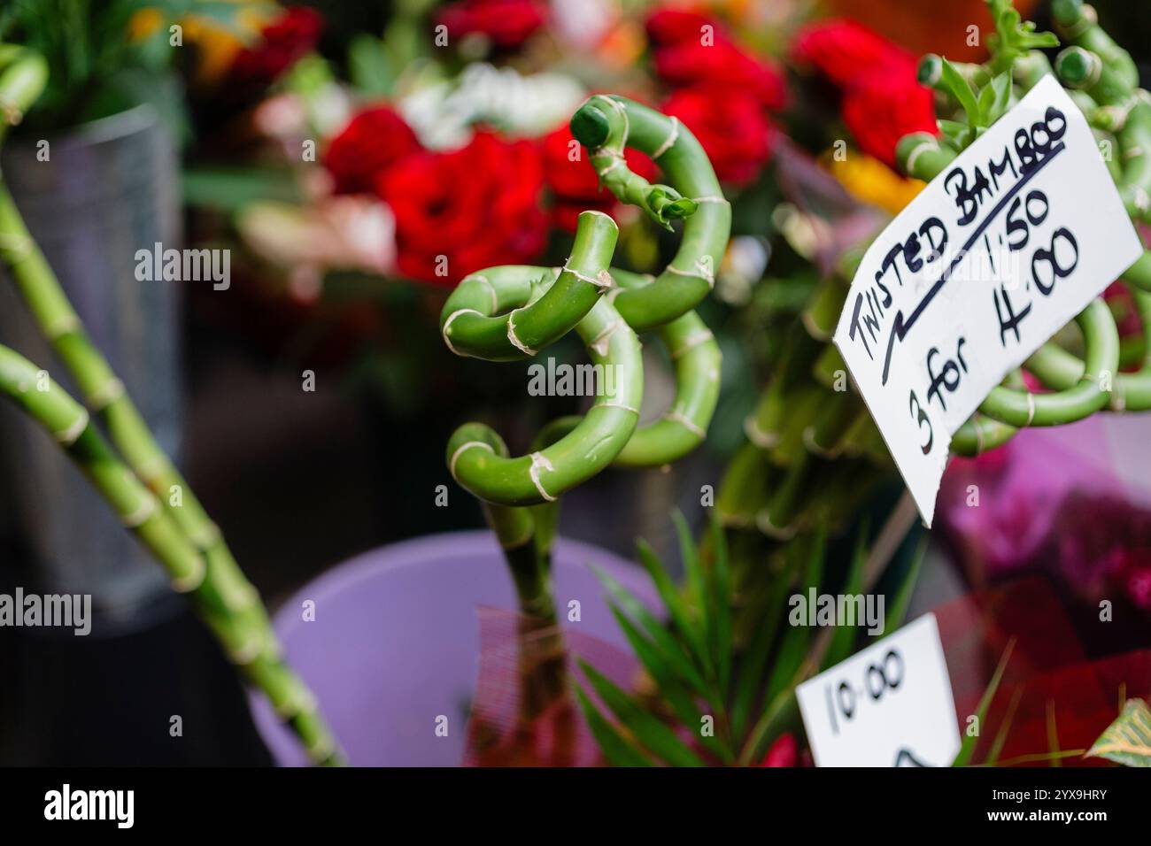 Twisted bamboo stems for sale at Borough Borough Market in London ...
