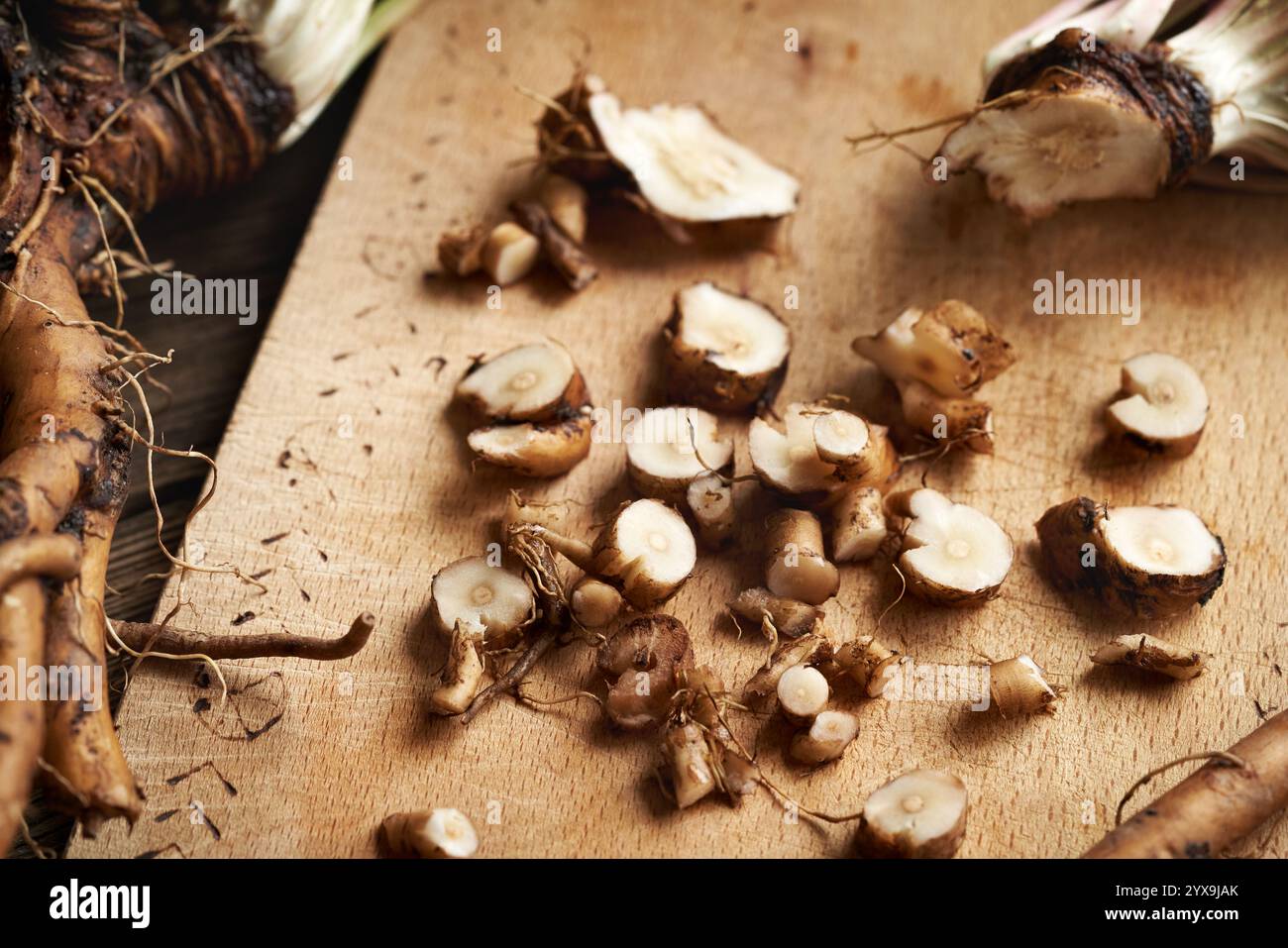 Cutting up fresh dandelion root to prepare homemade herbal tincture ...