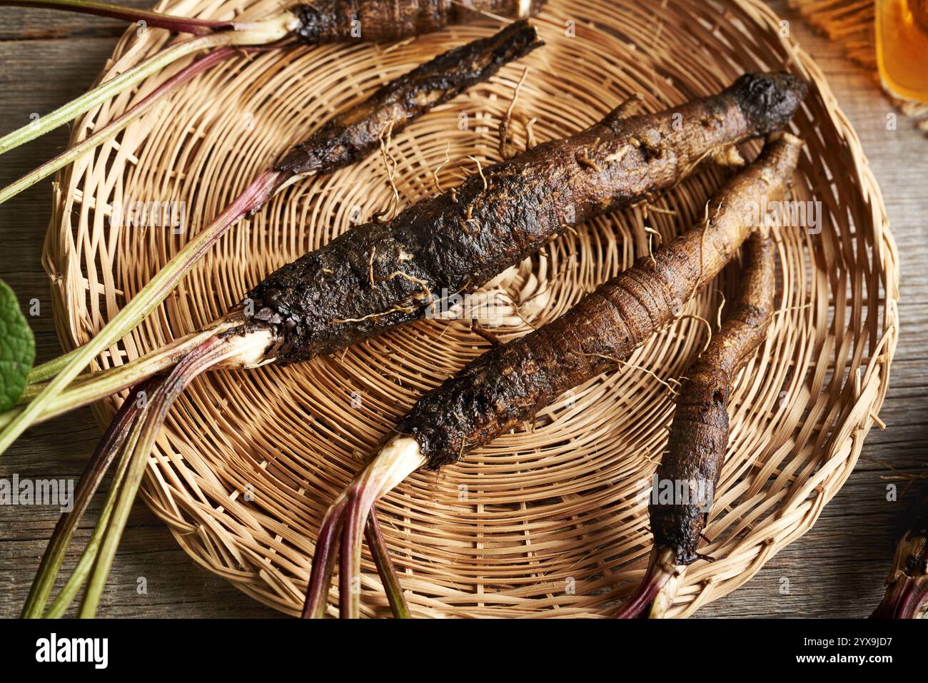 Fresh whole burdock root on a table - ingredient for homemade herbal ...