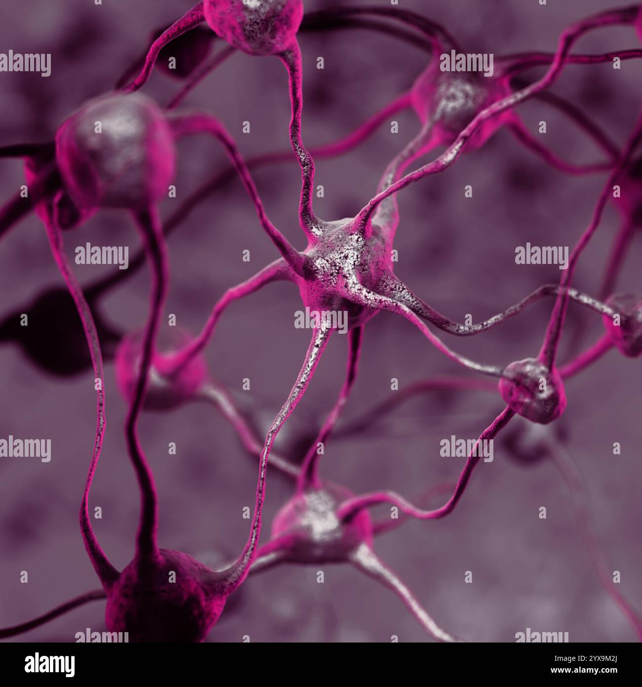 Model of a Biological Neural network of the human brain, interconnected ...