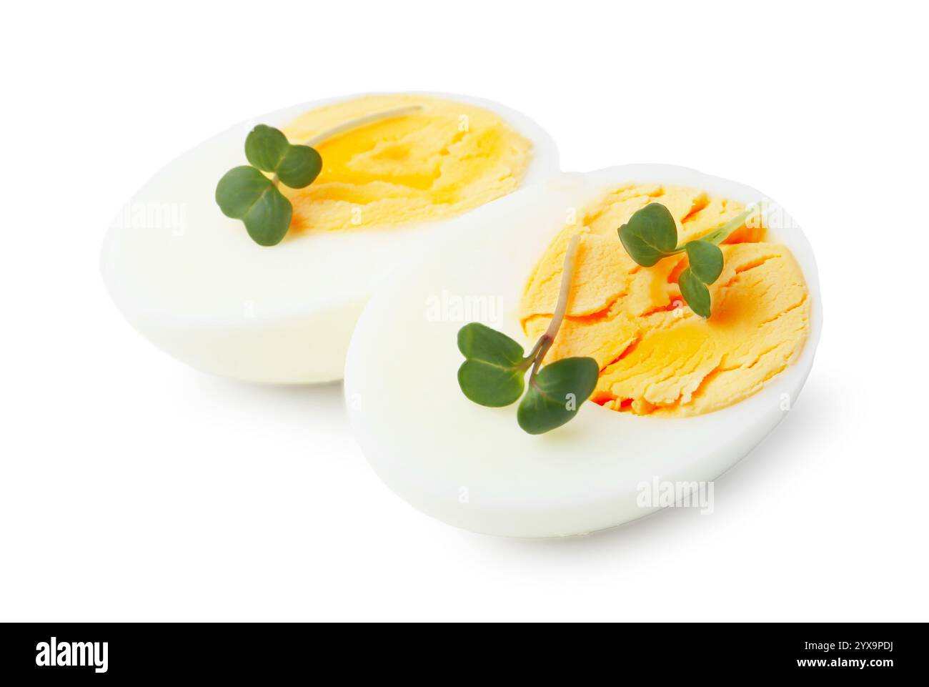 Halves hard boiled egg hi-res stock photography and images - Alamy